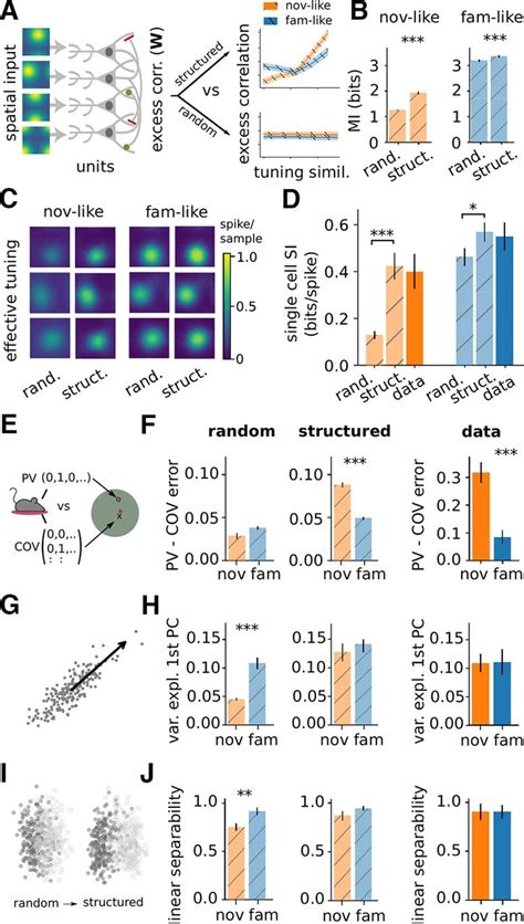 the structure of hippocampal ca1 interactions optimizes spatial coding