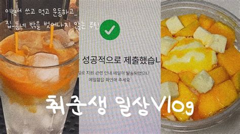 취준생 Vlog 1일 1지원 실천하고 야무지게 챙겨 먹는 집순이 취준생 새로운 알바 시작 Youtube