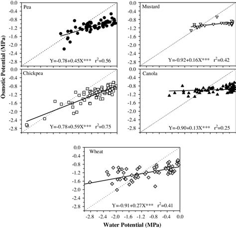The Relationship Between Leaf Water Potential C L And Leaf Osmotic