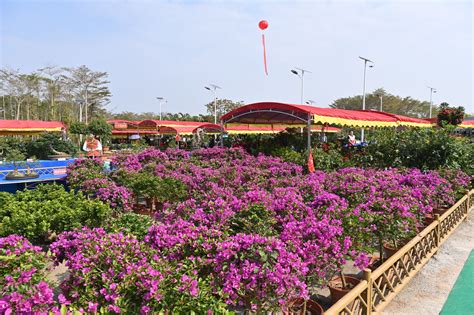 新屋仔村“一朵花”开出亿元财富湛江云媒（湛江新闻网）