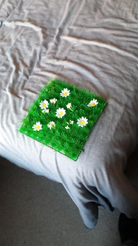 Easter Decorative Grass Square Rashens