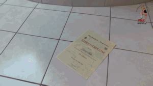 Diploma Under Sweet Naked Feet Pretty Merciless Feet Clips Sale