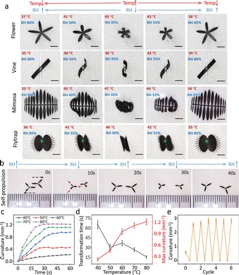 bioinspired shape morphing demonstrations as a function of the