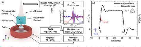 Figure 1 From Characterization Of Viscoelastic Media Combining Ultrasound And Magnetic Force