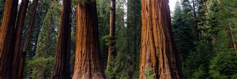 Interesting Read Looking Forward To The Webinar Mandy Murray