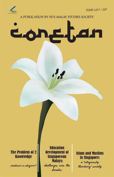 Lily X Wallpaper Teahub Io