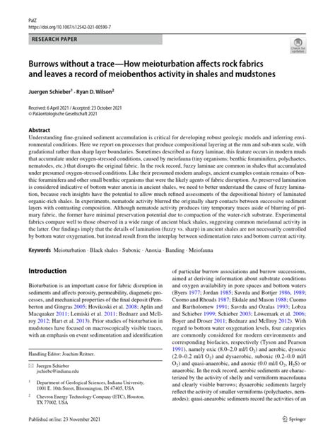 Burrows Without A Trace How Meioturbation Afects Rock Fabrics And Leaves A Record Of Meiobenthos