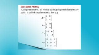 MATRIX CLASS 10 Pdf