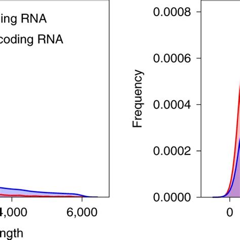 Length Distribution Of The Long Non Coding And Protein Coding Download Scientific Diagram