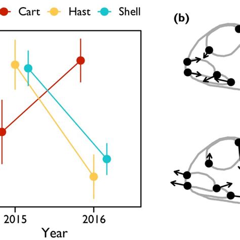 Spatiotemporal Phenotypic Structure Among Adult Subpopulations