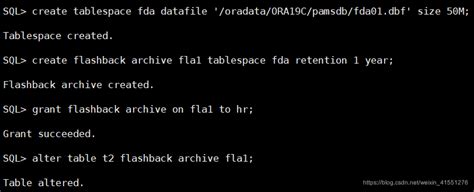 Oracle闪回技术详解 Csdn博客