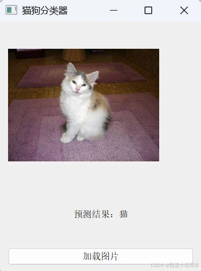 基于卷积神经网络和pyqt5的猫狗识别小程序基于卷积神经网络和pypt5的猫狗识别小程序 Csdn博客