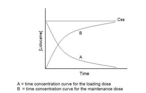 Lecture 4 Flashcards Quizlet Lecture 4 Flashcards Quizlet