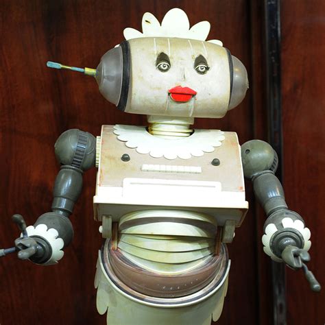 Robots That Do Chores