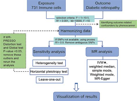 Flowchart Of Mr Design Mr Mendelian Randomization Ivw Inverse Flowchart Of Mr Design Mr Mendelian Randomization Ivw Inverse