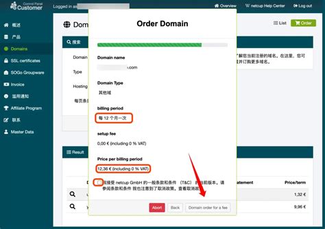 如何在 Netcup 购买域名？购买时有哪些注意事项？ Netcup 中文网