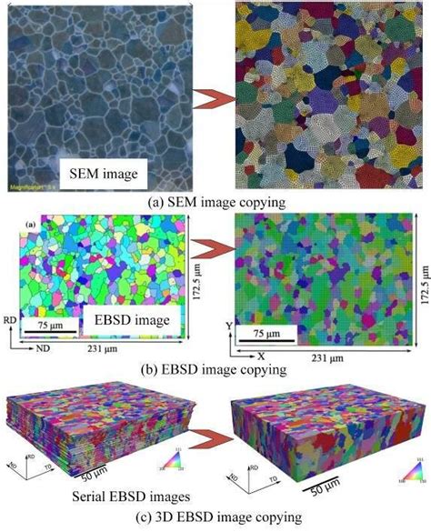 Real Microstructure Copying Method 11 13 Download Scientific Diagram
