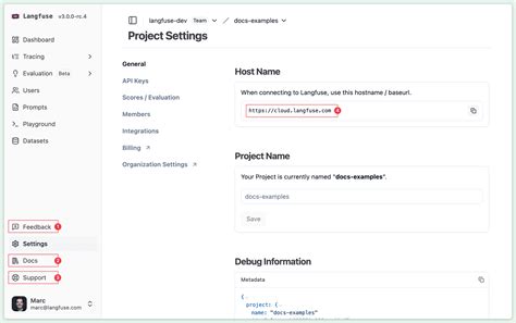 Ui Customization Self Hosted Langfuse