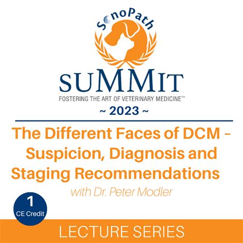 The Different Faces Of Dcm Suspicion Diagnosis And Staging Recommendations Sonopath
