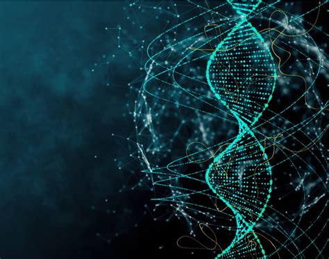 Multiple Myeloma And The 414 Translocation Healthtree For Multiple