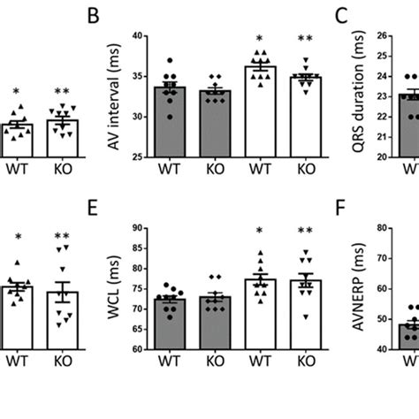 Electrophysiological Properties In Gq Ko N 11 And Control Mice N