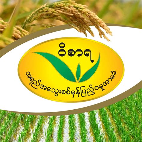 🌊 ရေကြီးနိုင်ခြေ သတိပေးချက် ‼️ ပဲခူး စစ်တောင်းတူမြောင်း ပဲခူးမြစ်ရေမြင့်လာခြင်းနှင့် လှိုင်မြစ