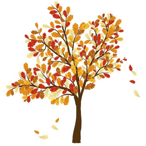 Picture Of Tree With Leaves ClipArt Best