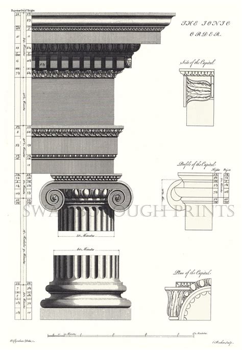 Architectural Drawings Ionic Column Print Wall Art Decor Etsy