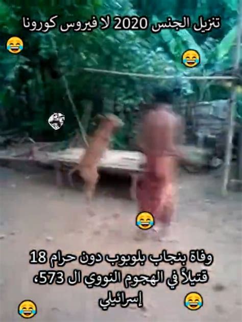 Tajikistan😜😜😅 Camel Sexتجميع آري ره😘يبة تجميع العبوari Awesomeدية في