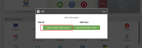 How To Access VNC On Your VPS Support