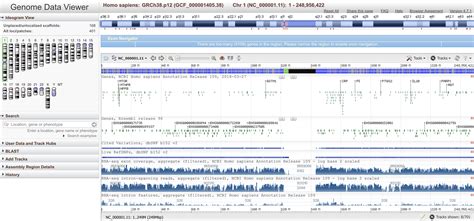 Ncbi Genome Viewer · Genocat Tools