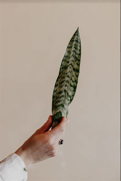 Propagation Basics Downtown Boulder Co