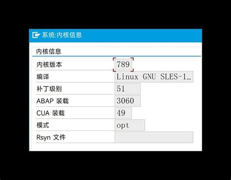 如何更详细查看SAP 系统版本信息 知乎