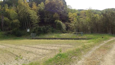 古墳巡礼・四国編 253 藤井古墳 ロック古典主義