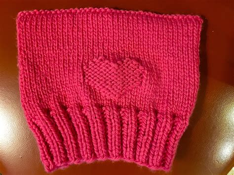 Pussyhat Pussyhat Where Are You Indivisible East Bay