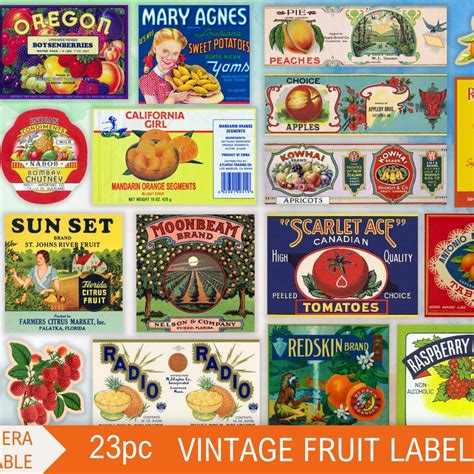 Vintage Can Labels Etsy