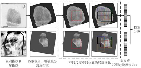 指纹识别综述10 深度学习方法指纹数据集 Csdn博客