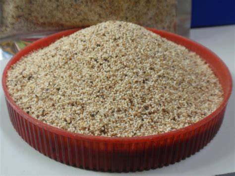 Macam Ada Blogspot Com Apa Itu Biji Kas Kas