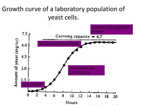 Ppt Population Growth Curves Powerpoint Presentation Free Download Id 6897735