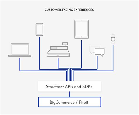 Fitbit Case Study Guidance