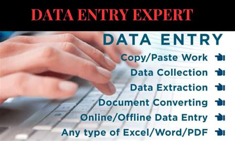 Do Data Entry Using Ms Word Ms Excel By Emanunsa Fiverr