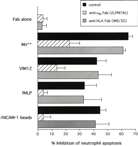 Inhibition Of Neutrophil Apoptosis After β2 Integrin Activation Or Download Scientific Diagram