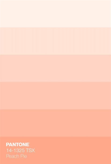 Pin By Jess Owens Daily On Backgrounds In 2025 Dark Peach Color Light Peach Color Peach