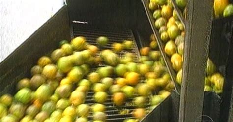G1 Acordo Cria Comissão Para Reduzir Diferenças Comerciais De Brasil