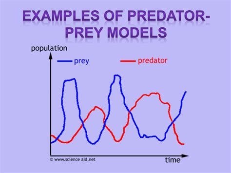 Chapter 12 Biodiversity In Ecosystems Ppt Download
