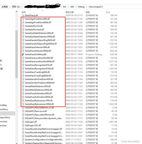 关于netcore项目调用c的dll（动态链接库）问题netcore调用c库 Csdn博客