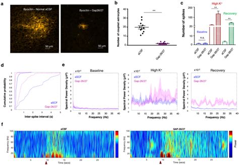 Astrocytic Modulation Of Cortical Oscillations Scientific Reports