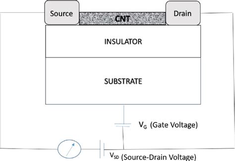 Schematic Diagram Of Cnt Based Transistor Download Scientific Diagram
