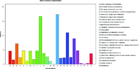 Gene Function Classification Based On The Kog Annotation For The