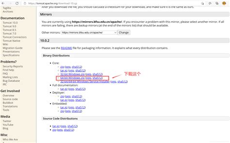 tomcat 详解（安装tomcat、启动和配置，发布一个web网站） tomcat 发布站点 csdn博客